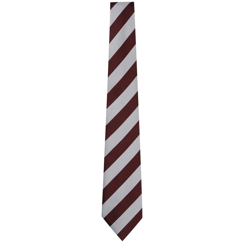 Lady Alice Primary School Tie - Smiths of Greenock